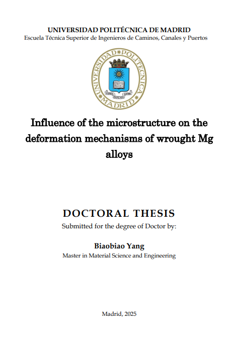 Influence of the microstructure on the deformation mechanisms of ...